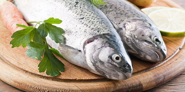 What is the healthiest fish to eat for weight loss?