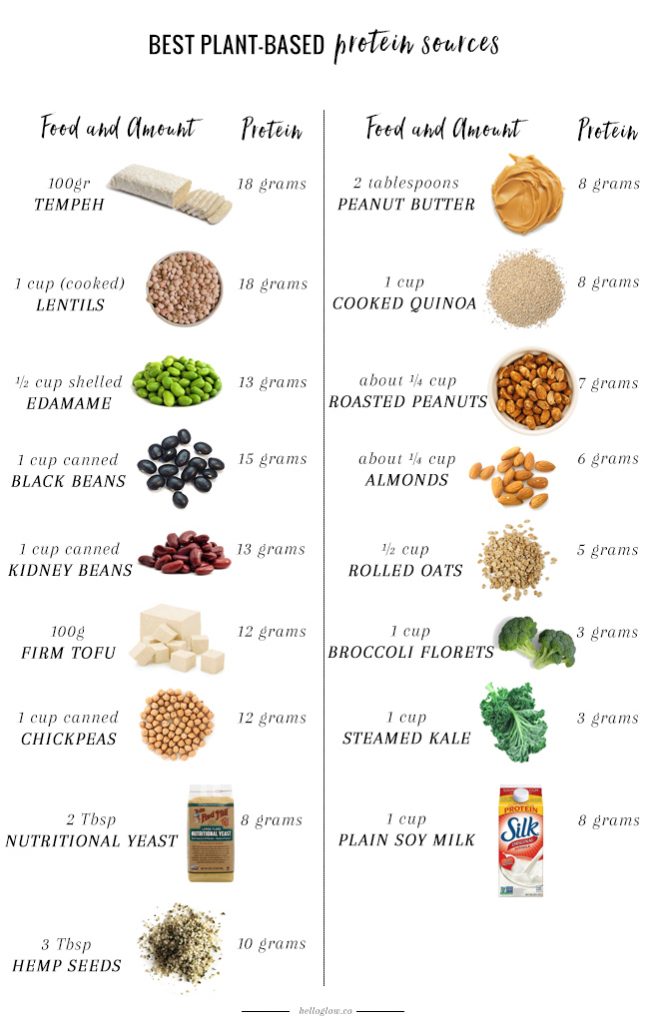 What is the healthiest plant-based protein?