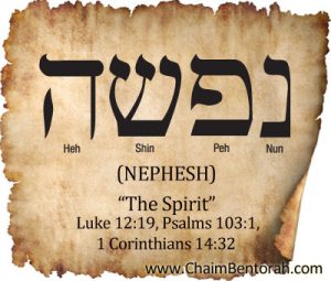 What is the Hebrew word for spirit and what does it mean?