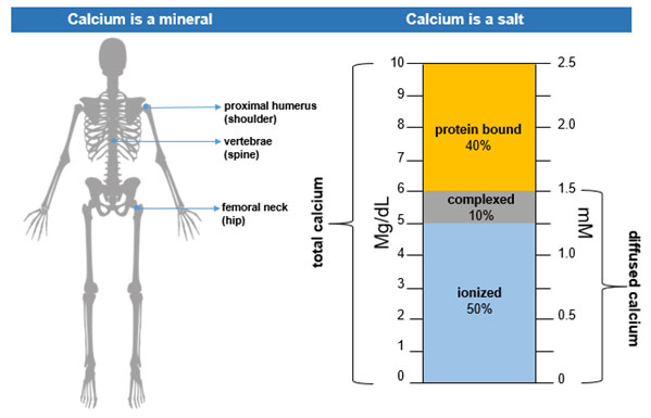 What is the highest form of calcium?