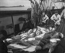 What is the history of fishing in Alaska?