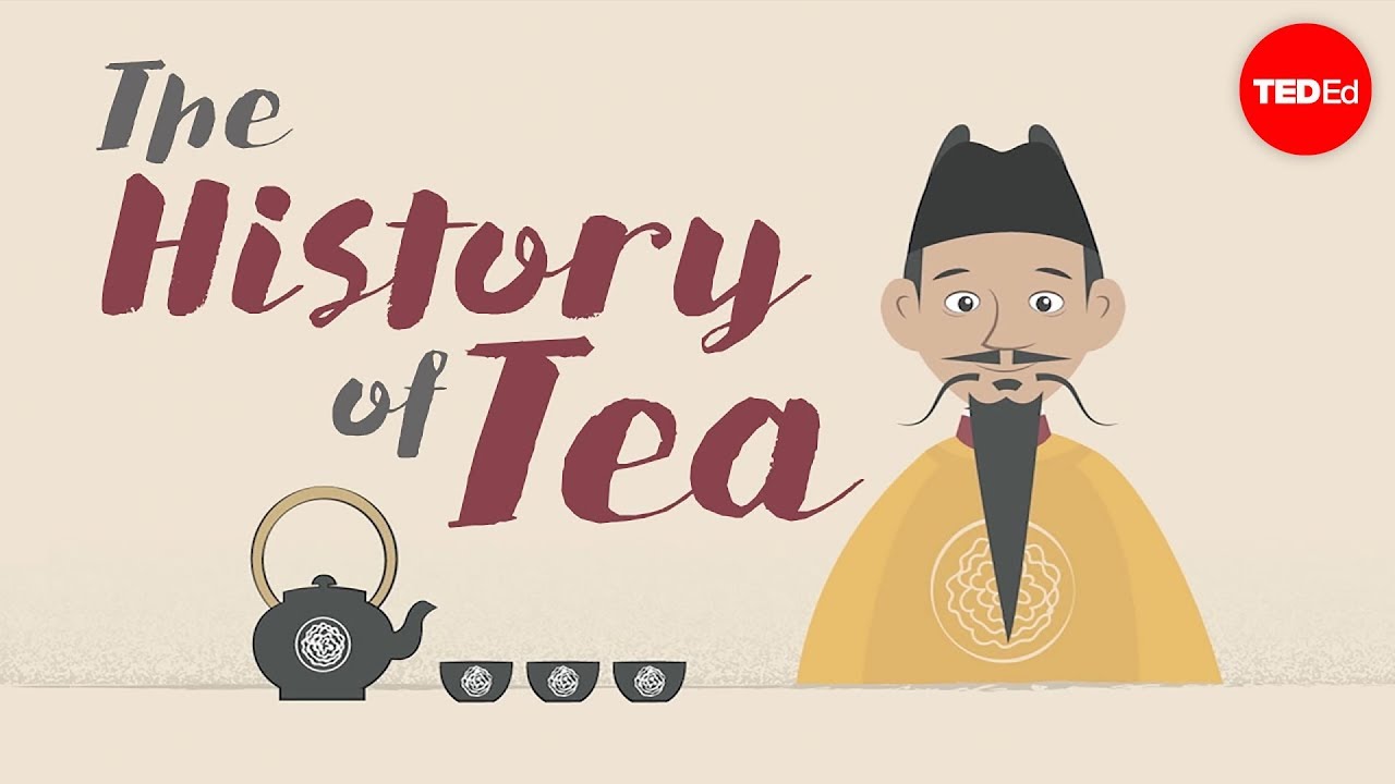 What is the history of tea?