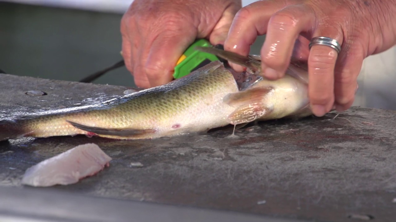 What is the importance of cleaning preparing the fresh fish before cooking?