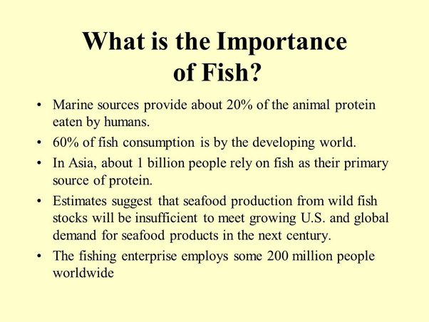 What is the importance of fish in the community?