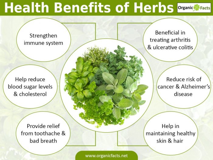 What is the importance of herbs?