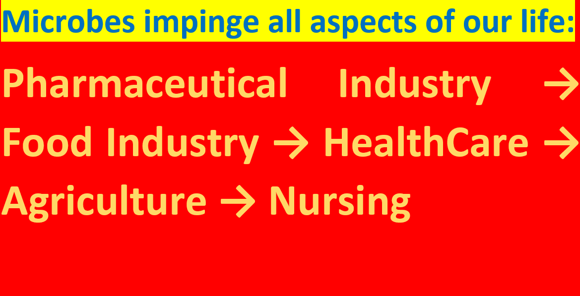 What is the importance of microbiology in the field of fisheries?