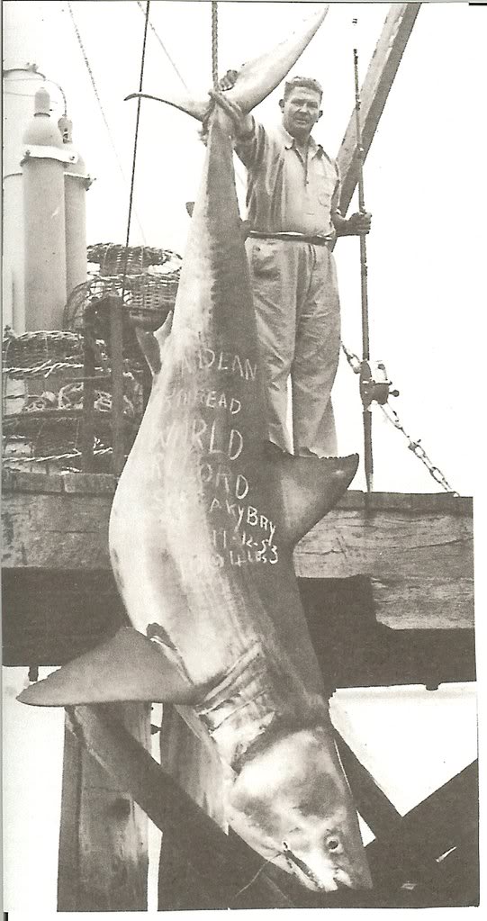 What is the largest fish ever caught on rod and reel?