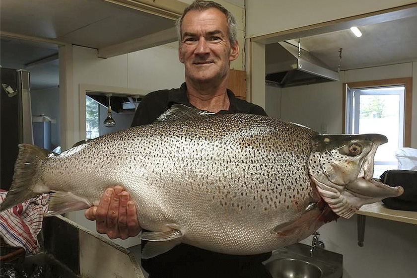 What is the largest trout on record?
