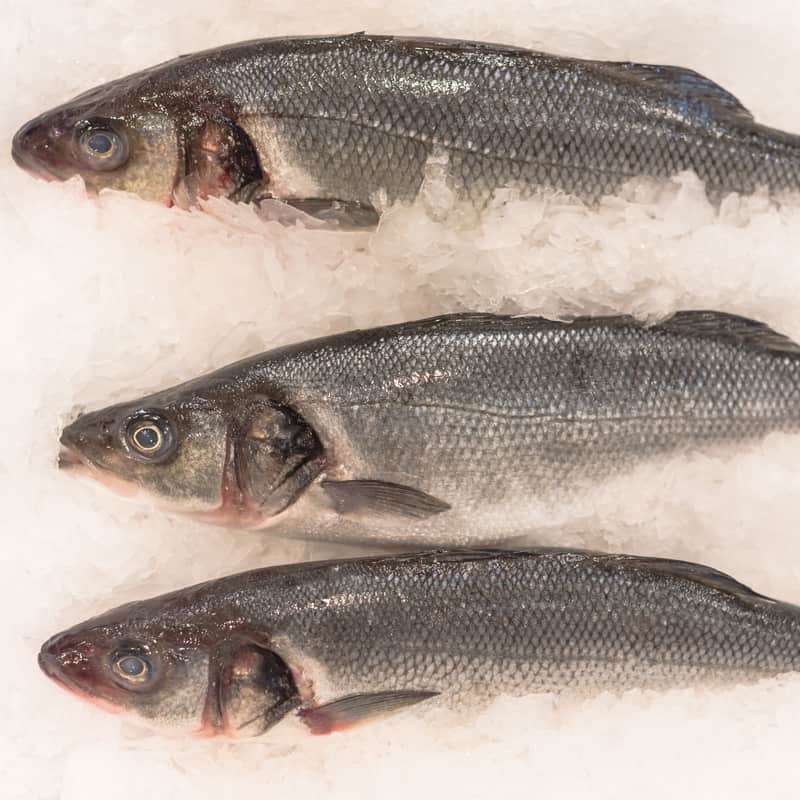 What is the least contaminated fish to eat?