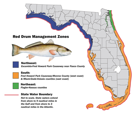 What is the limit for red drum in Florida?