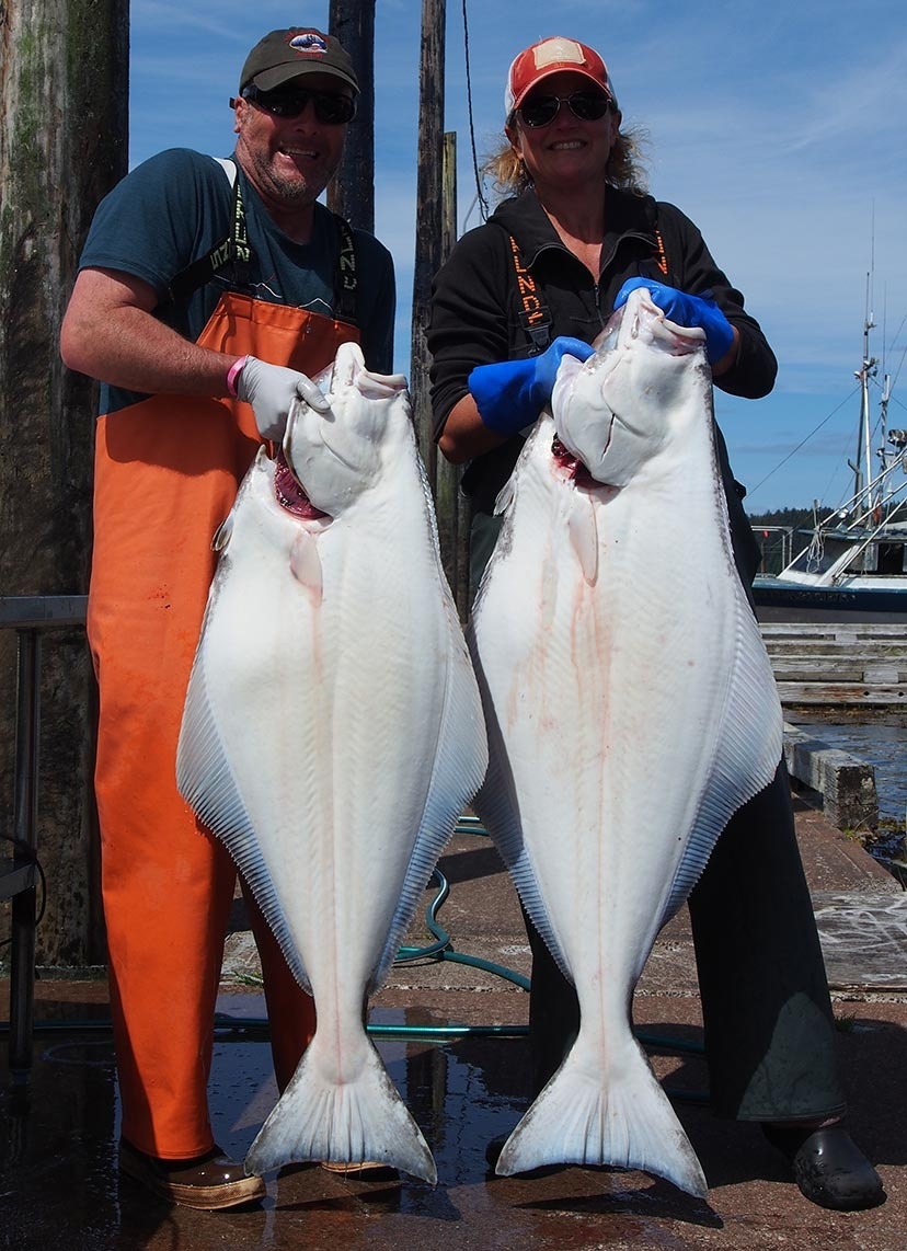 What is the limit on halibut fishing in Alaska?