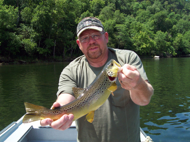 What is the limit on trout on White River?