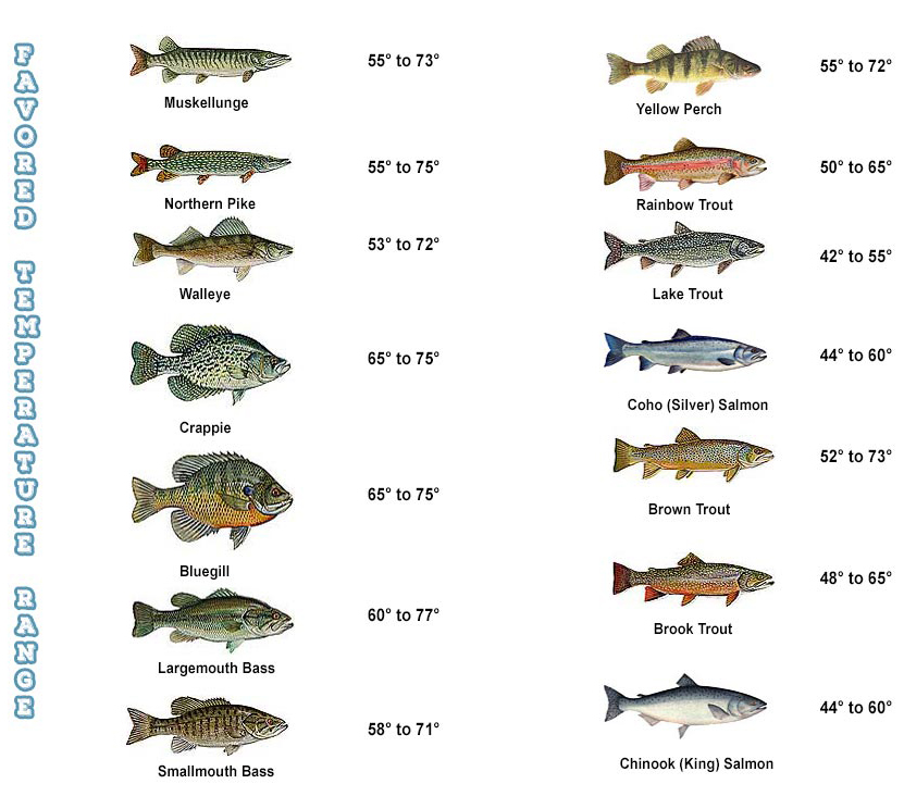 What is the lowest temperature a fish can live in?