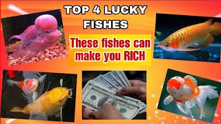 What is the luckiest fish?