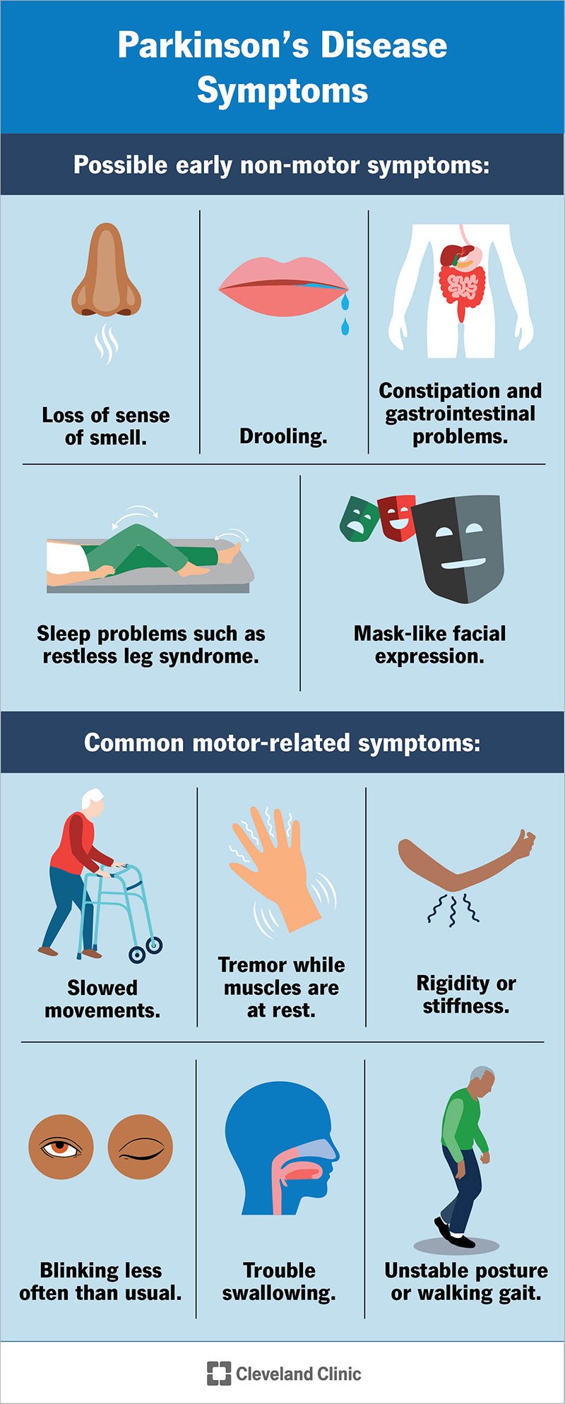 What is the main cause of Parkinson disease?