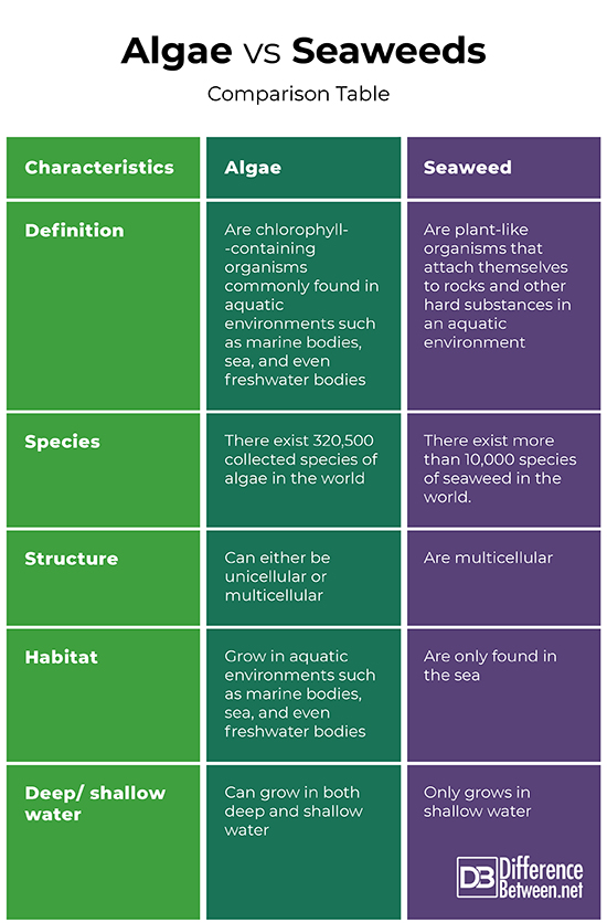 What is the main difference between seaweed and aquatic plants?