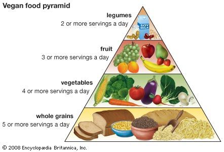 What is the main point of vegetarianism?