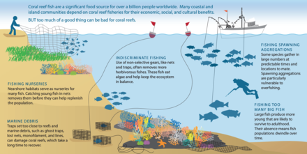 What is the meaning of overfishing in science?
