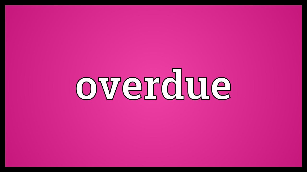 What is the meaning of payment overdue?