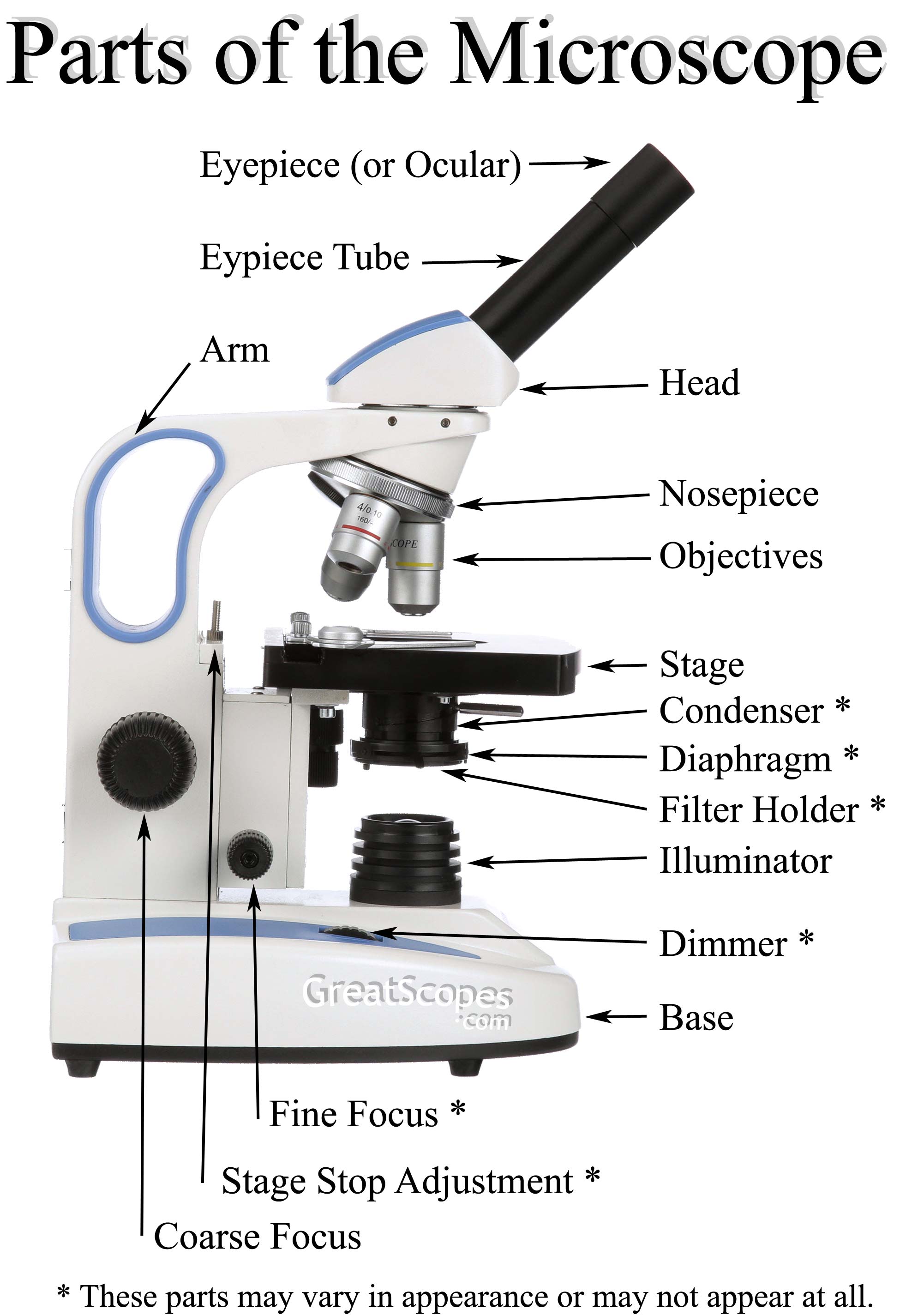 What is the meaning of scope in microscope?