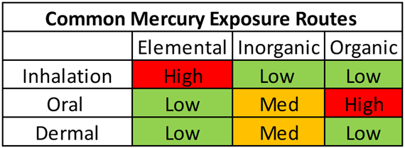 What is the most common exposure to mercury?