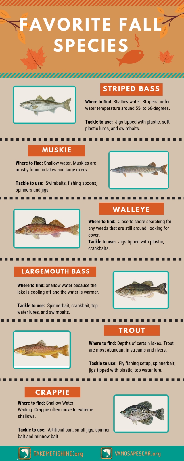 What is the most common fish to catch in freshwater?