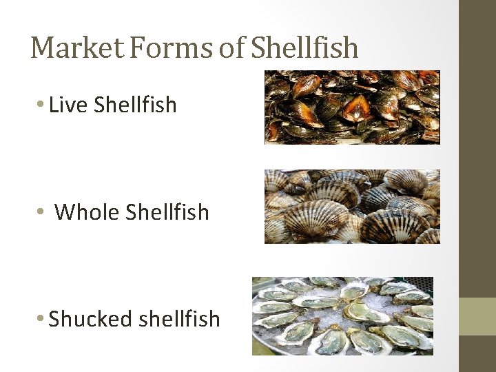 What is the most common market form of shellfish?