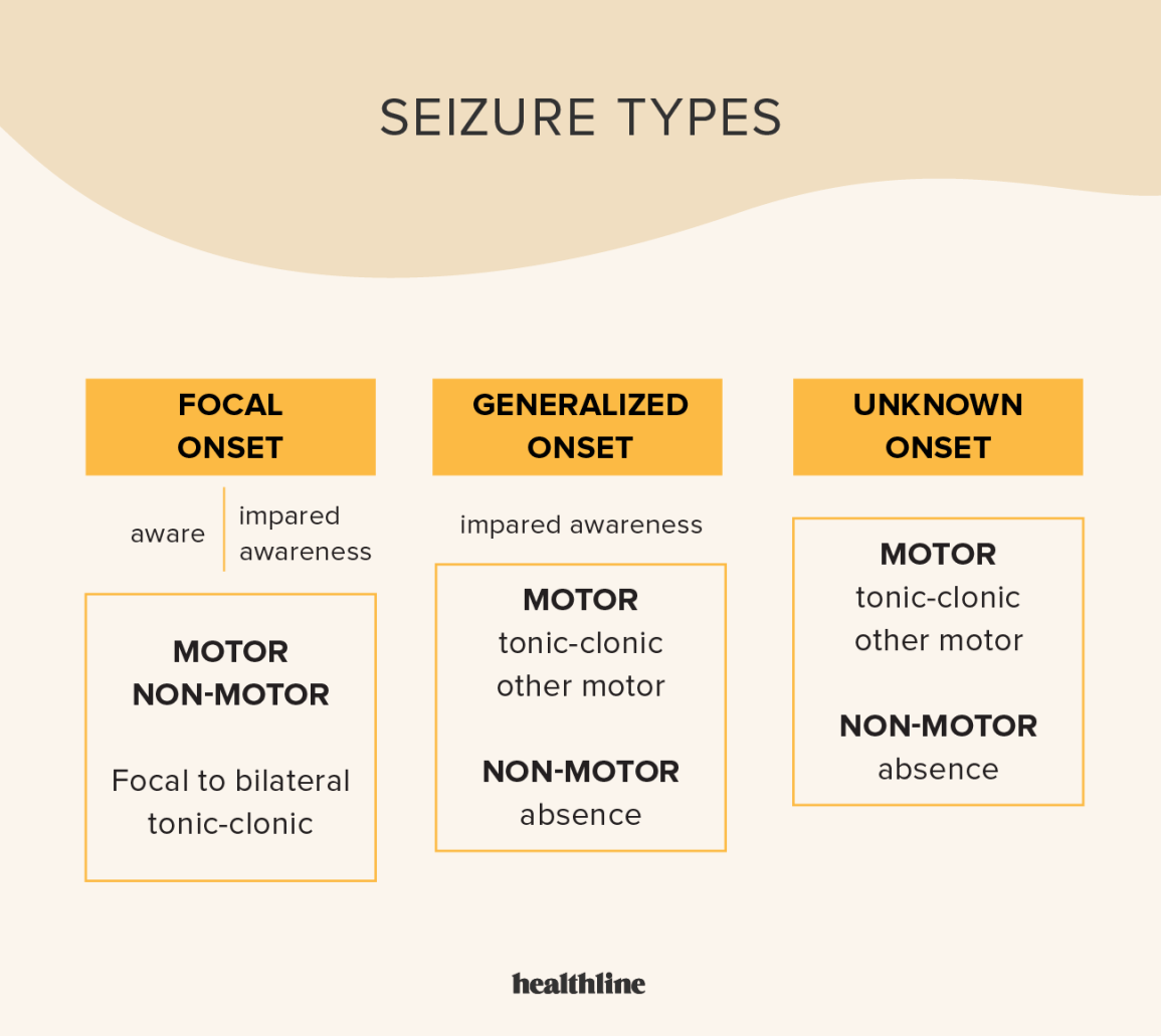 What is the most common type of seizure in adults?