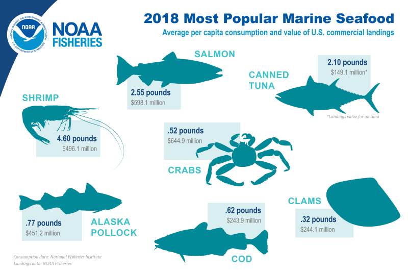 What is the most commonly eaten fish in the US?