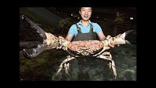 What is the most deadliest crab?
