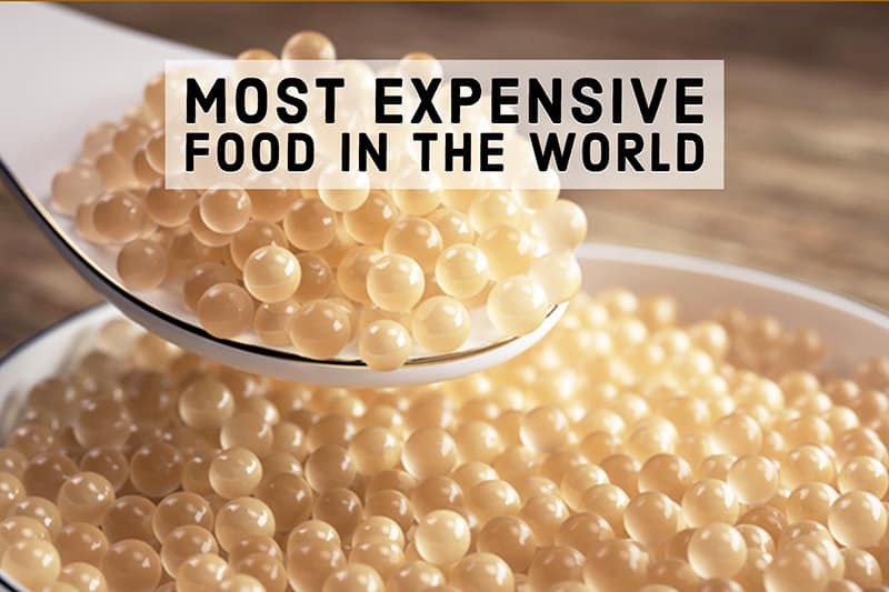 What is the most expensive food item?