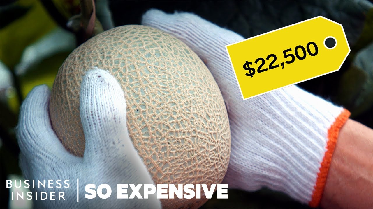 What is the most expensive Japanese melon?