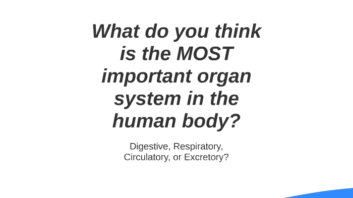 What is the most important organ system?