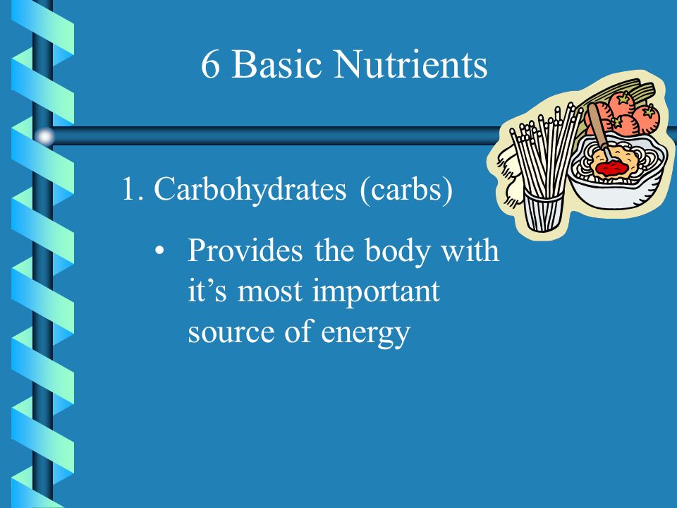 What is the most important source of energy for the body?