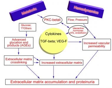 What is the most likely cause of diabetic nephropathy?