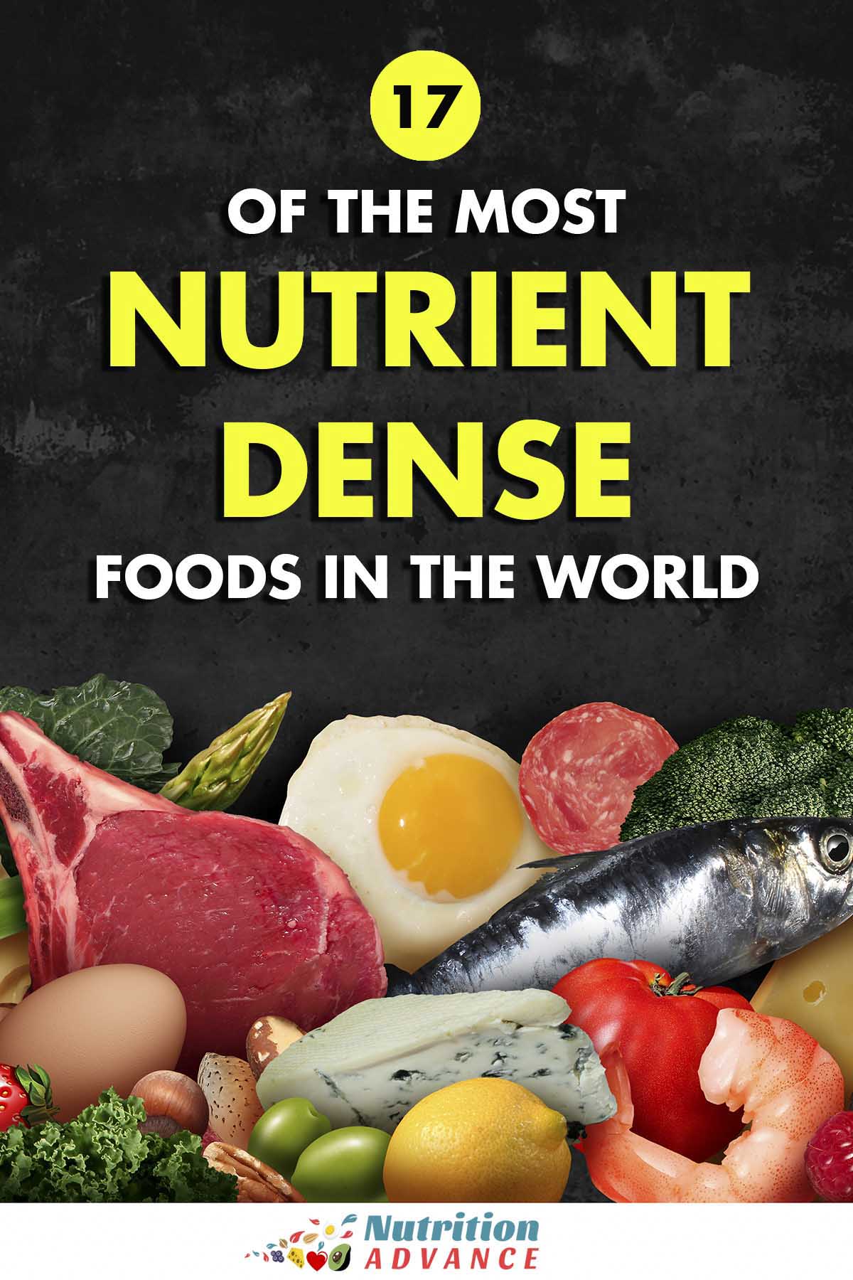 What is the most nutrient dense animal?