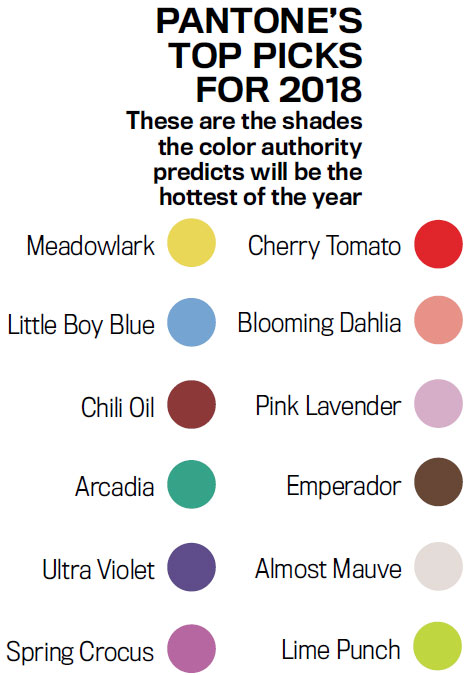 What is the most popular color to wear?