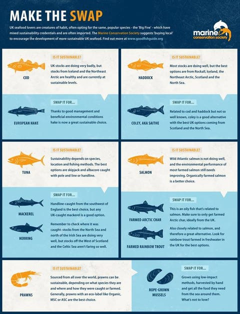 What is the most sustainable fish UK?