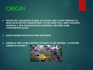 What is the origin of pigeon pea?