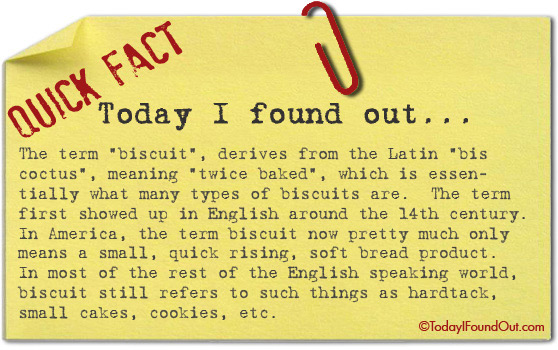 What is the origin of the word biscuit?