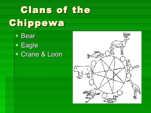 What is the origin of the word Chippewa?