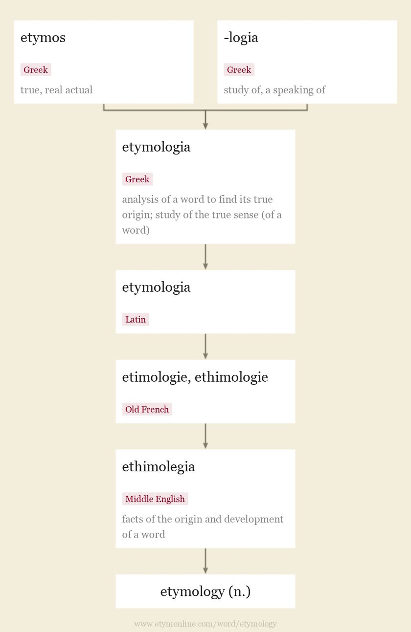 What is the origin of the word etymology?