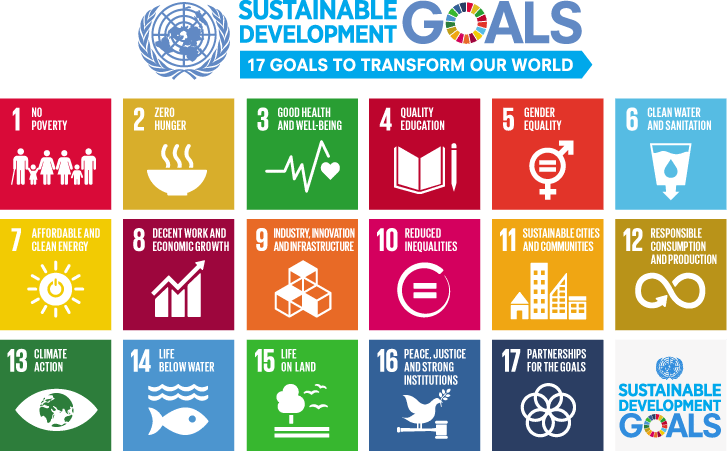 What is the primary objective or purpose of the Sustainable Development Goals of the United Nations?