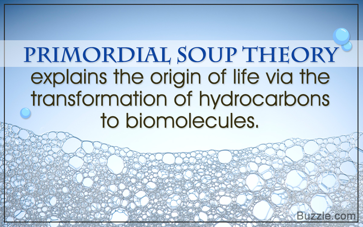 What is the primordial soup theory?