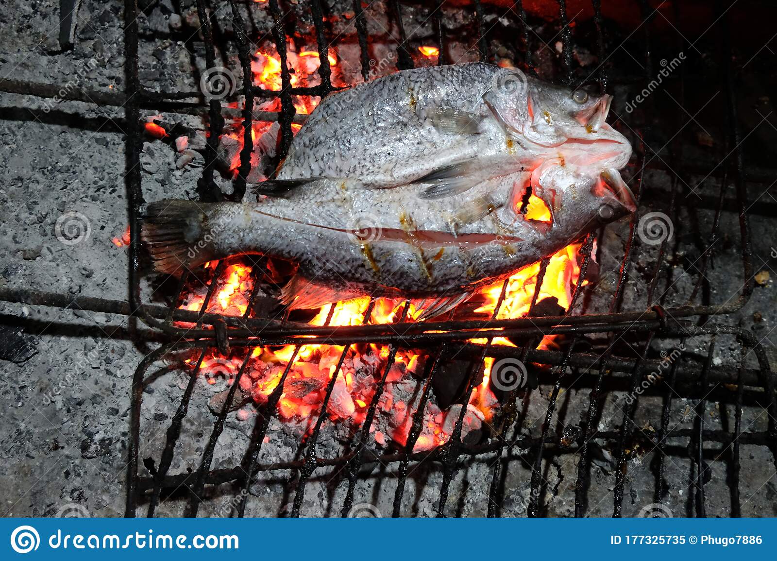 What is the process of cooking fish in a grill?