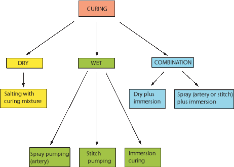 What is the process of curing meat?