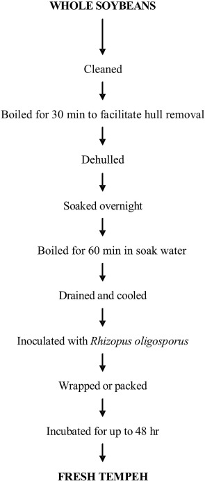 What is the process of making tempeh?