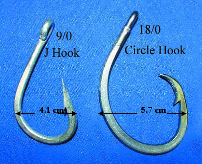 What is the purpose of a circle hook?