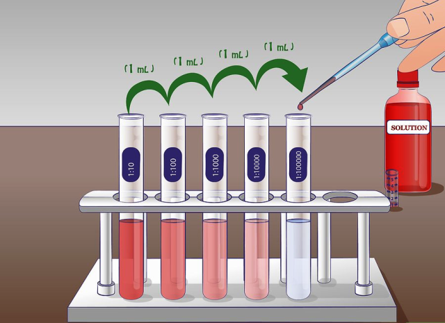 What is the purpose of a dilution experiment?