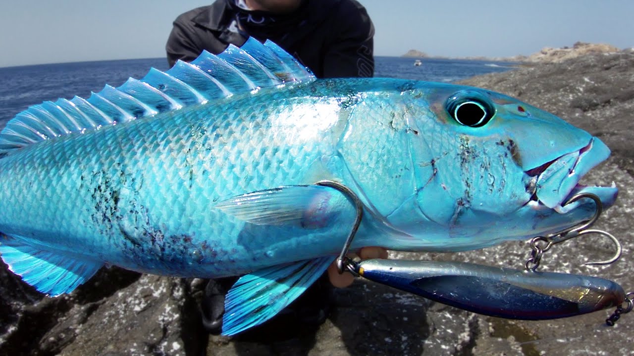 What is the rarest fish to catch in the world?